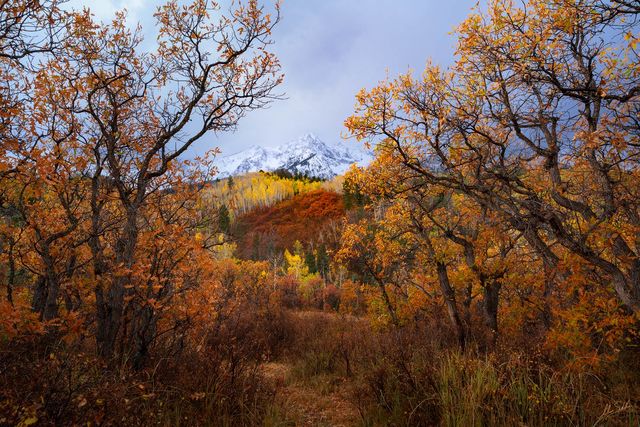 Fall in Colorado | Fine Art Landscape Photography and Photo Workshops ...